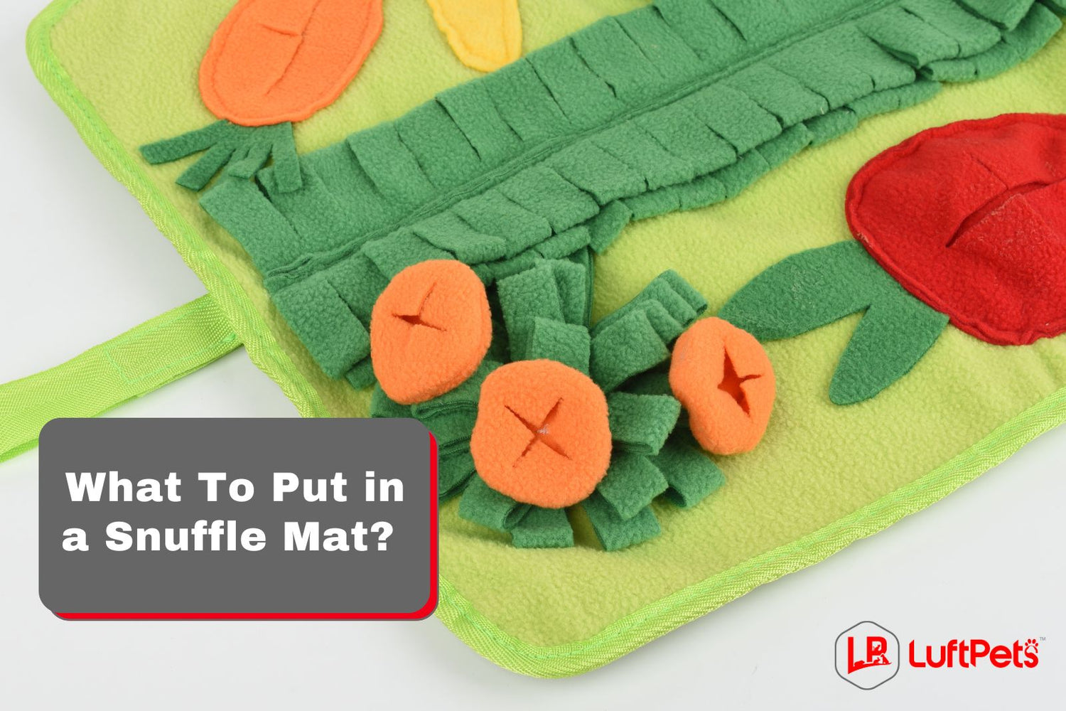 What To Put in a Snuffle Mat? Nutrition BOOSTERS! – LUFTPETS