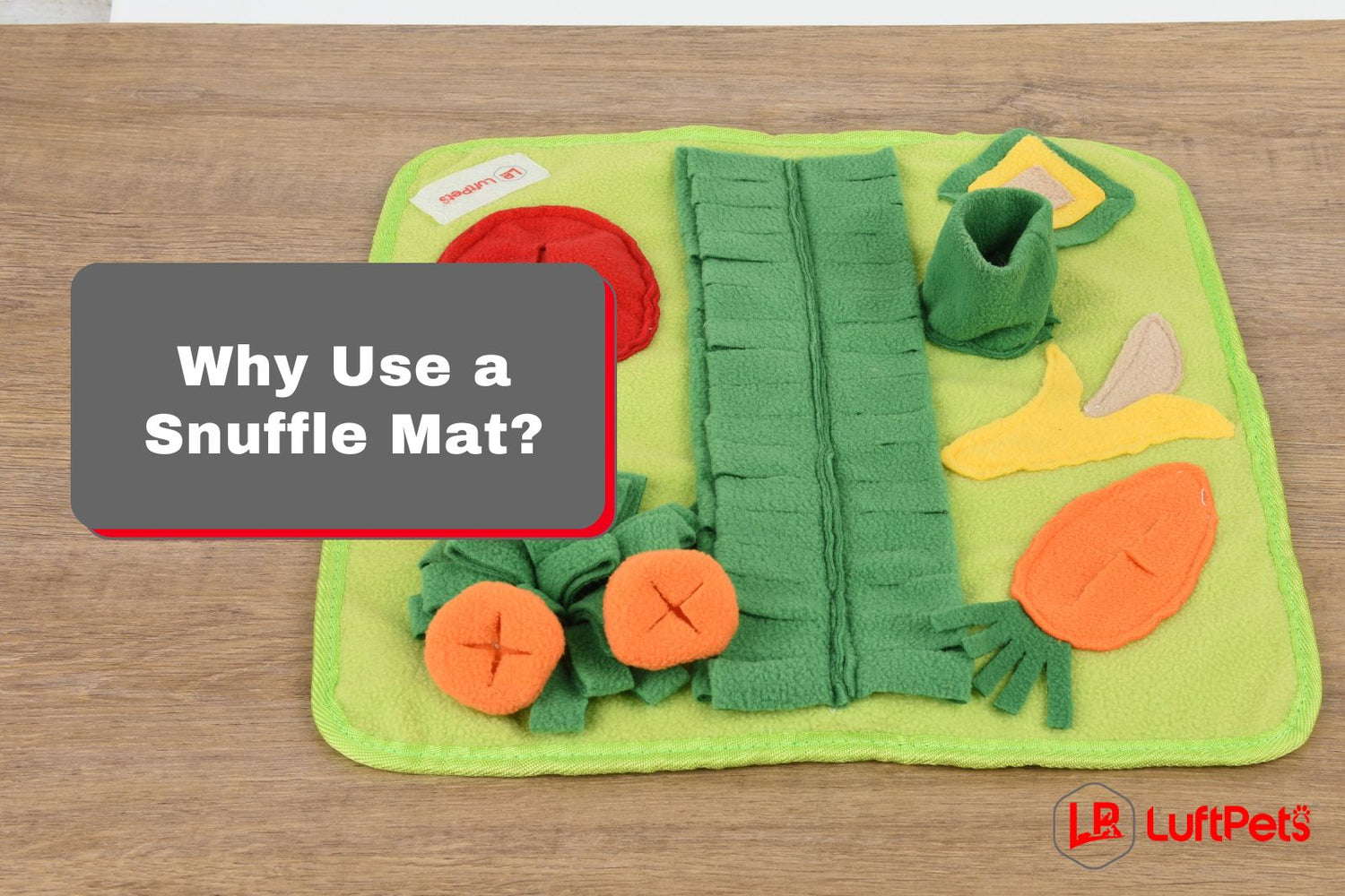 Why Use a Snuffle Mat? 10 Must-Know Secrets! – LUFTPETS