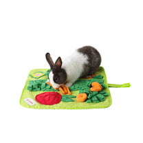 Rabbit Foraging Mat: Interactive Veggie Patch & Snuffle Mat for Bunnie ...
