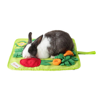 Rabbit Foraging Mat: Interactive Veggie Patch & Snuffle Mat for Bunnie ...